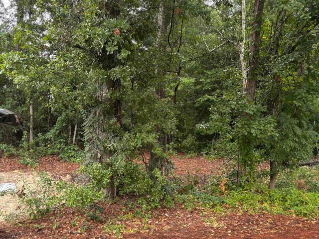 3318 Hollydale Drive Lot 84