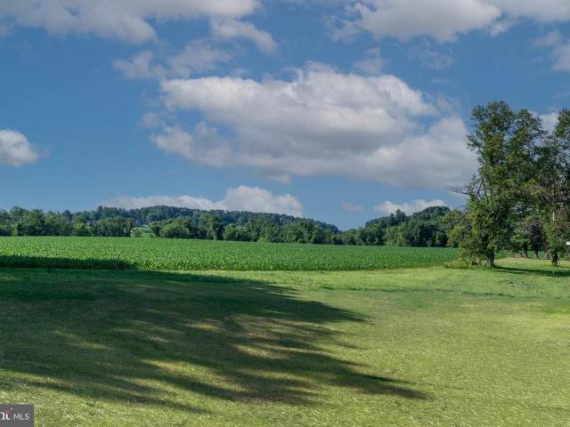 3319 Mount Carmel Road