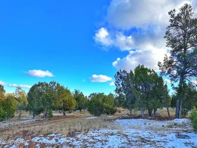 3319 Sawmill Ridge Loop, Heber, AZ 85928 MLS 253586