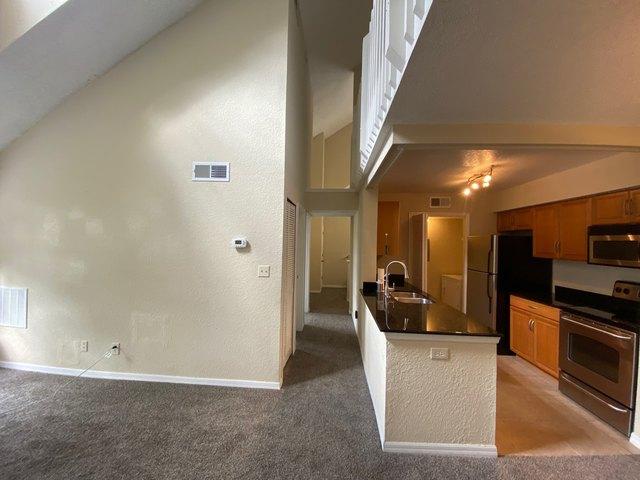 3310 Haviland Ct Apt 303, Palm Harbor, FL 34684