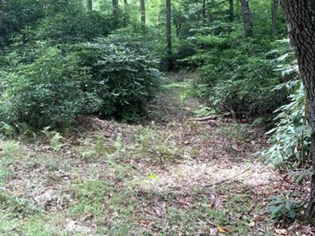 3311 Hanging Run Rd, Belington, WV 26250