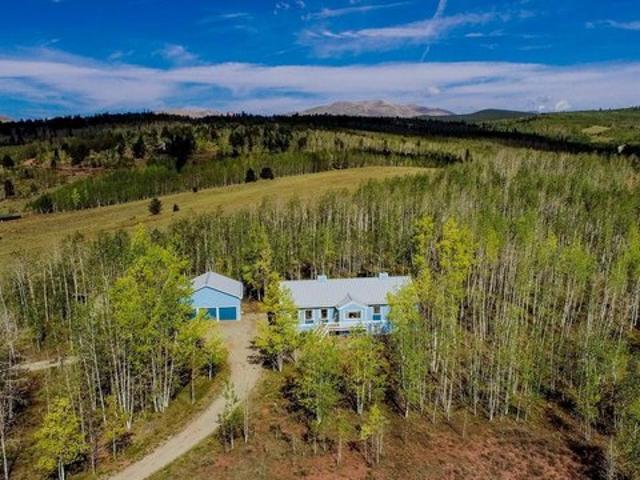 331 Canthook Ln Lot 154, Fairplay, CO 80440