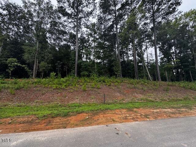 331 Meadow Walk Dr, Fuquay Varina, NC 27526 | MLS #10115