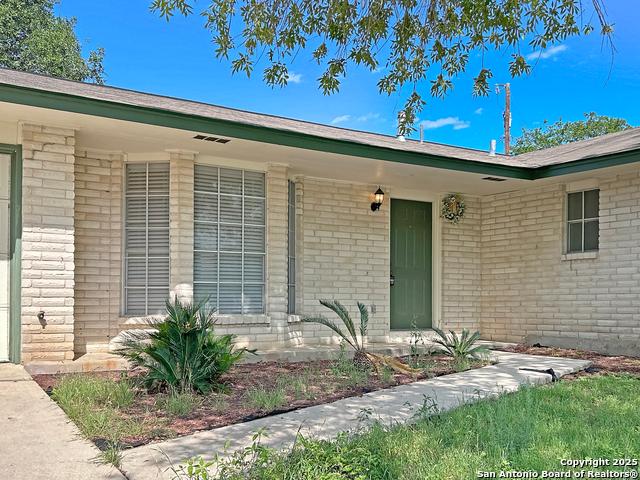 331 Shin Oak