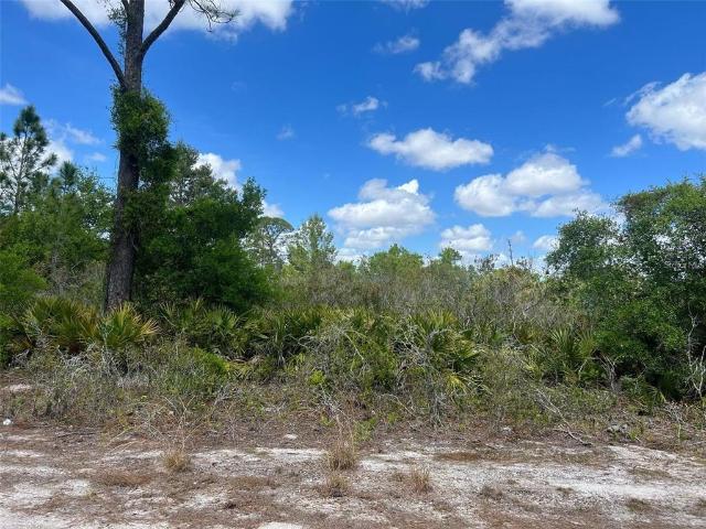 331 Tanager Ave, Sebring, FL 33870 | MLS #O6377