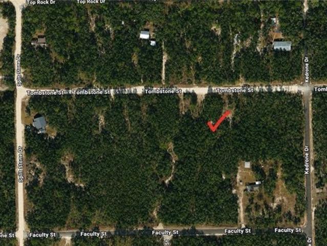 33240 Tombstone St, Webster, FL 33597