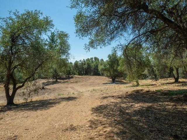 3326 Sand Ridge Rd, Placerville, CA 95667