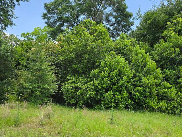 3328 Rice Mill Road