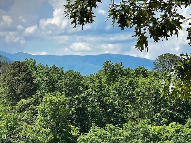 3328 Sugar Maple Loop Rd