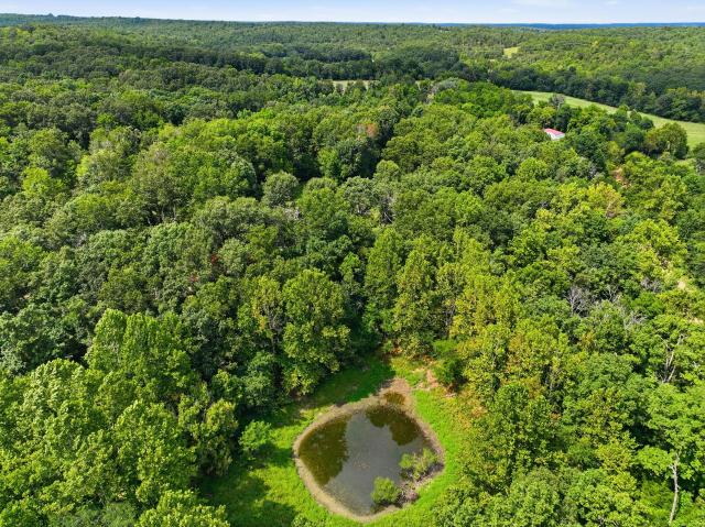 3320 County Road 328