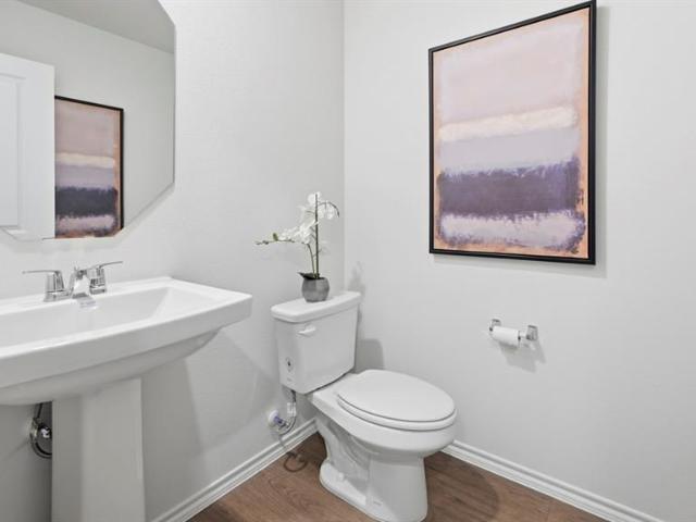 3321 Catamount Drive