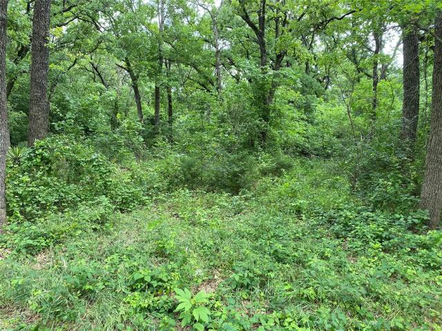 3323 NW County Road 3323, Frost, TX 76641 | MLS #21265