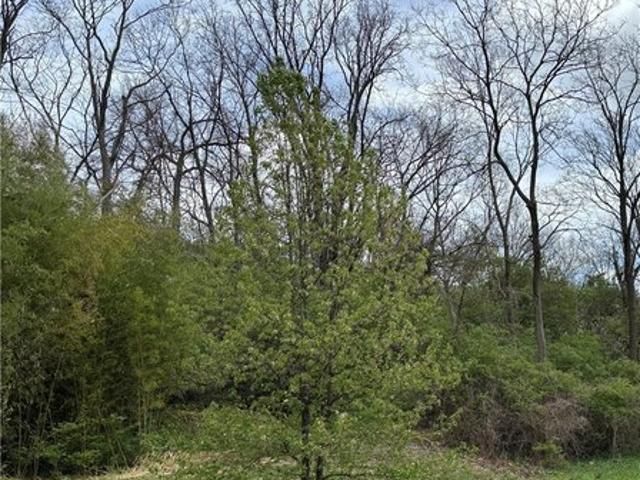 332 Collins Ave, Cincinnati, OH 45202