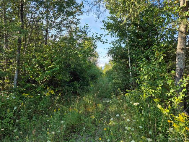 332 Acres River Road