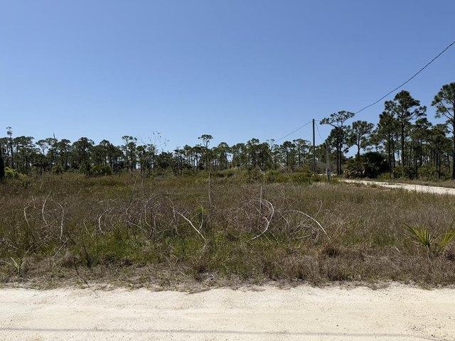 332 Blue Heron Dr Lot 10, Port Saint Joe, FL 32456