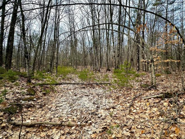 332 Folly Rd, Sebago, ME 04029 | Compass