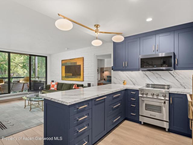 332 Vine St, Aspen, CO 81611 | MLS #193212