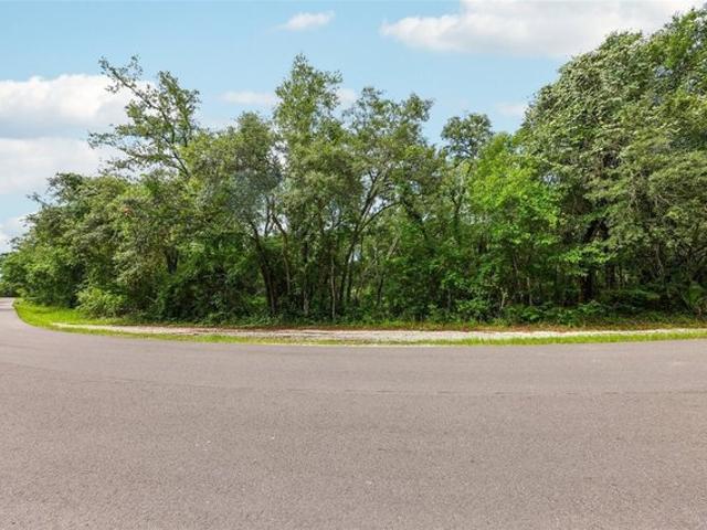 33340 Tombstone St, Webster, FL 33597