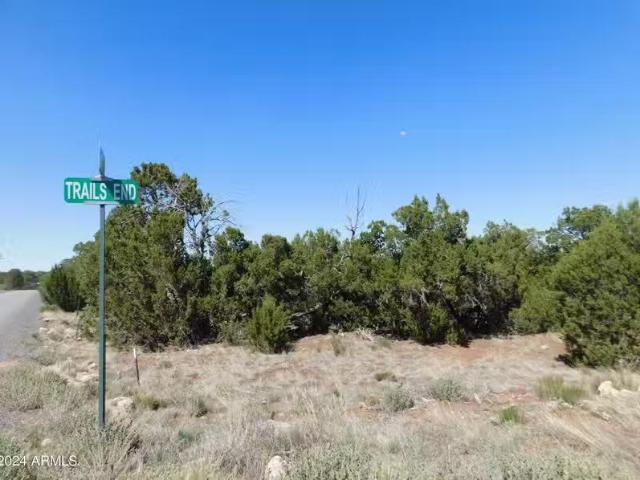 3337 Apache Dr #373, Overgaard, AZ 85933 MLS 6711933