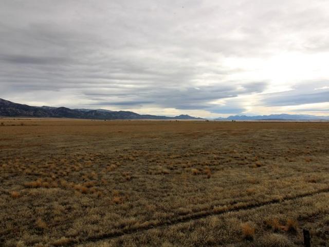 3338 W Crooked Ln, Levan, UT 84639