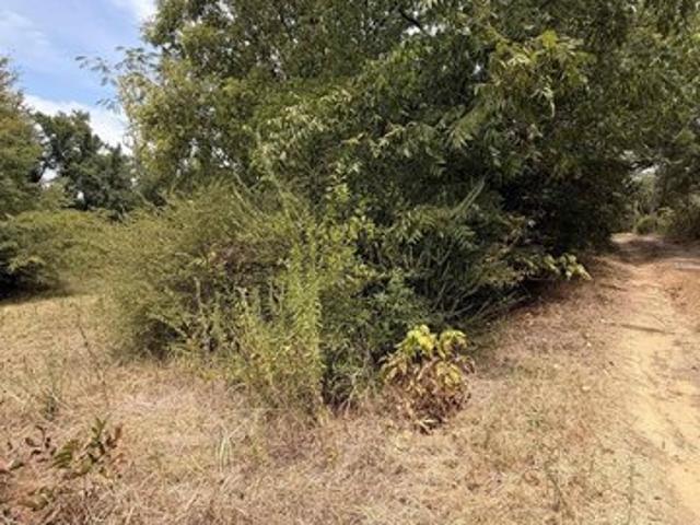 3330 Jacob, Tyler, TX 75702