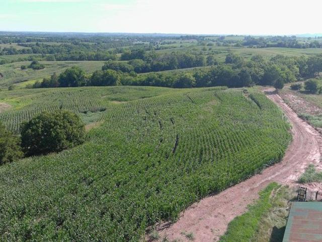 3330 KY 1770, Stanford, KY 40484