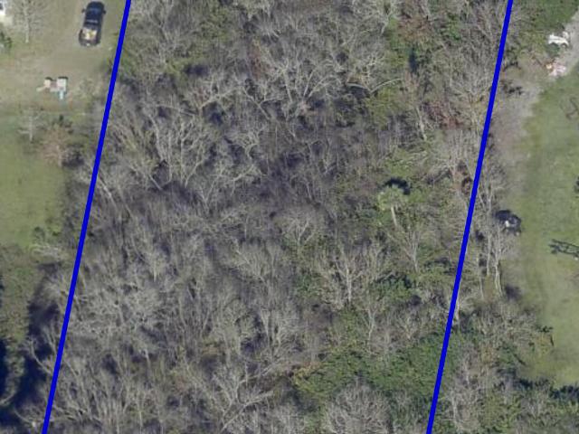3331 Caraway St, Cocoa, FL 32926 | MLS #1066