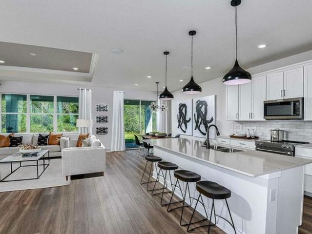 33323 Herds Hallow Way, Wesley Chapel, FL 33545