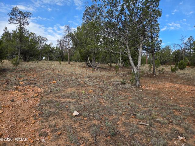 3332 Sawmill Ridge Loop