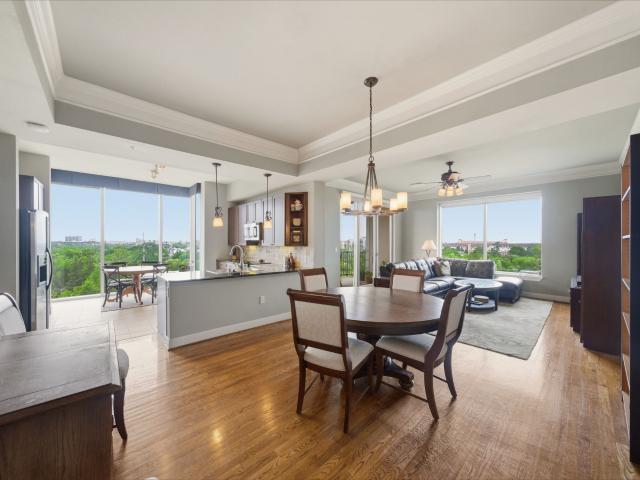 3333 Allen Parkway 709
