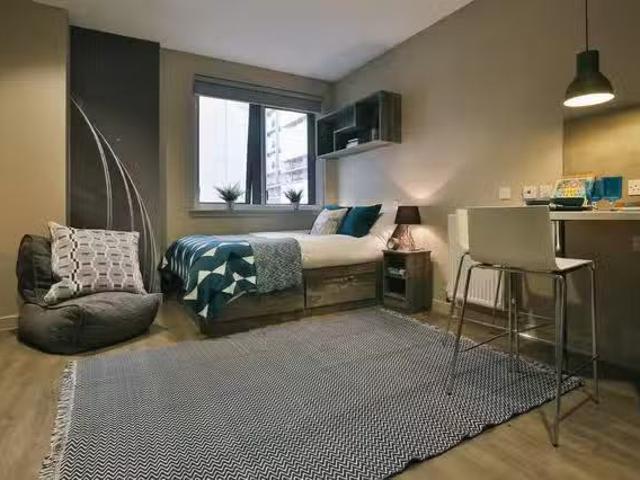 333 Bath Street Classic Studio Park View