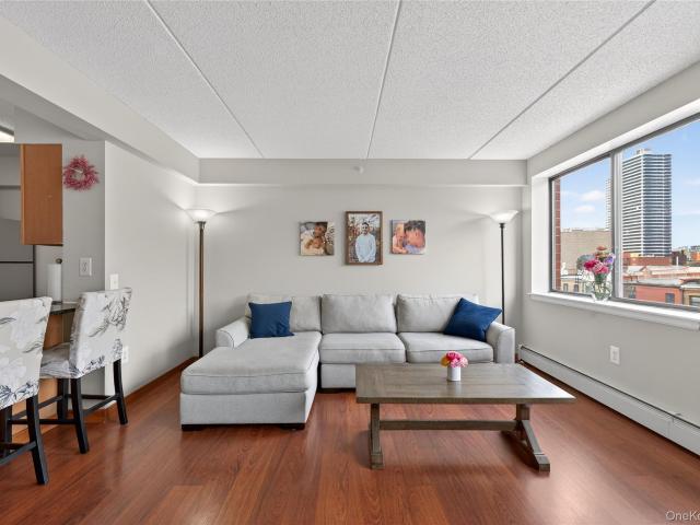 333 E 119th Street 5G