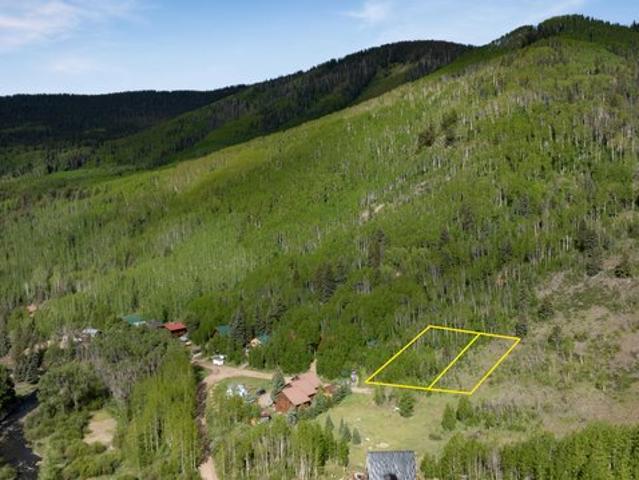 333 N Piedmont St, Rico, CO 81332