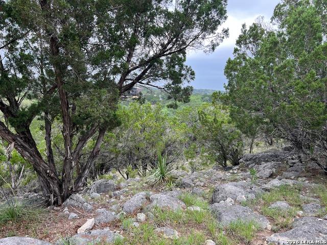333 Spanish Oak