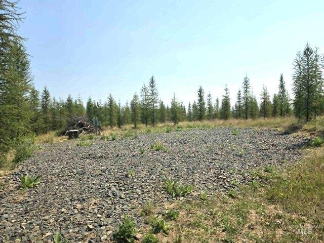 333 Wildwood Dr, Orofino, ID 83544