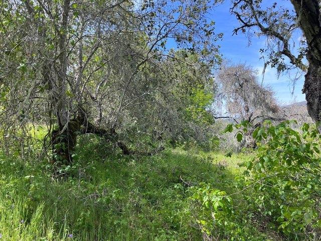 33446 E Carmel Valley Rd, Carmel Valley, CA 93924