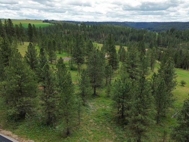 3344 E Balsam Hill Ln, Valleyford, WA 99036
