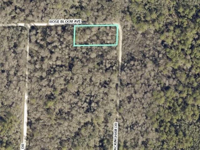 33464 Packingham Dr, Webster, FL 33597