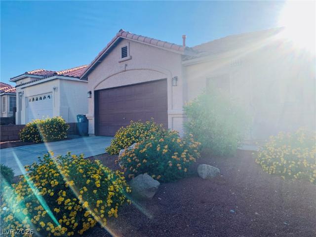 3346 Lark Bunting Street