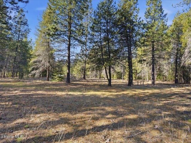 33482 N Charlotte Dr, Spirit Lake, ID 83869 | MLS #26 1807