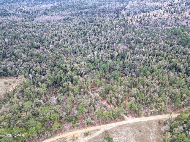 3340 Varsey Ln, Marianna, FL 32448