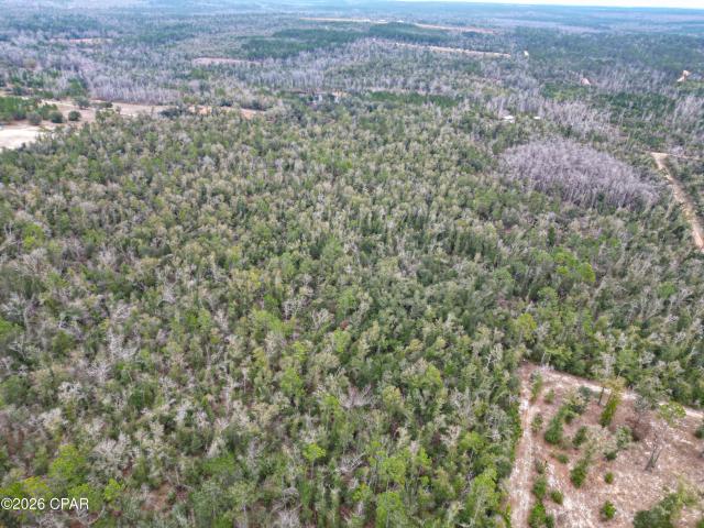 3340 Varsey Ln, Marianna, FL 32448 | MLS #784934