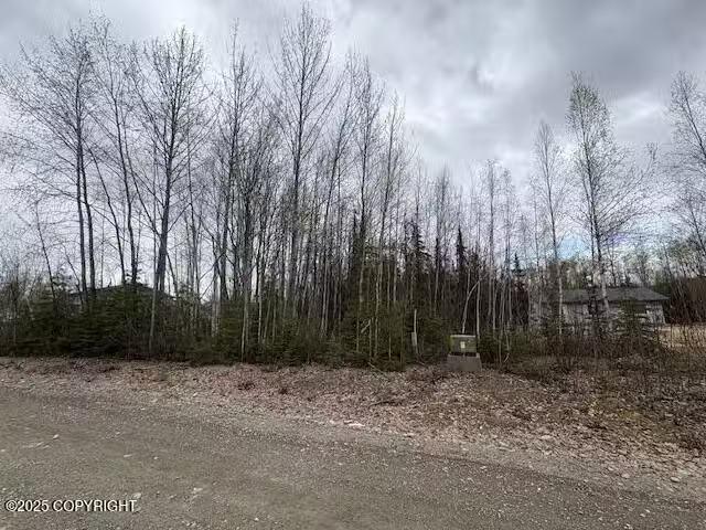3341 S MEDORA CROSS ST, BIG LAKE, AK 99623 Vacant Land For Sal.