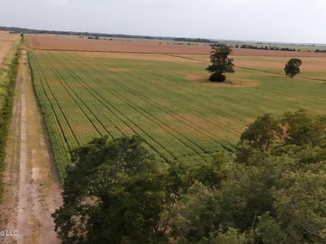 3342 Campbell Rd, Tutwiler, MS 38963