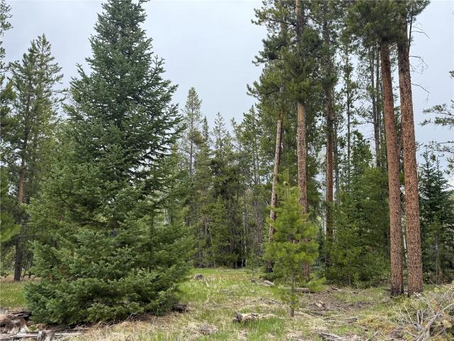 33435 Filly Trail, Oak Creek, CO 80467 | MLS #S1058
