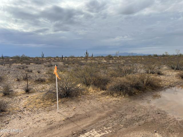 334xx W Painted Wagon Trail # 55
