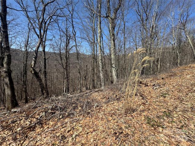 334 335 Hamlin Ln, Burnsville, NC 28714 | MLS #4235 | Compass