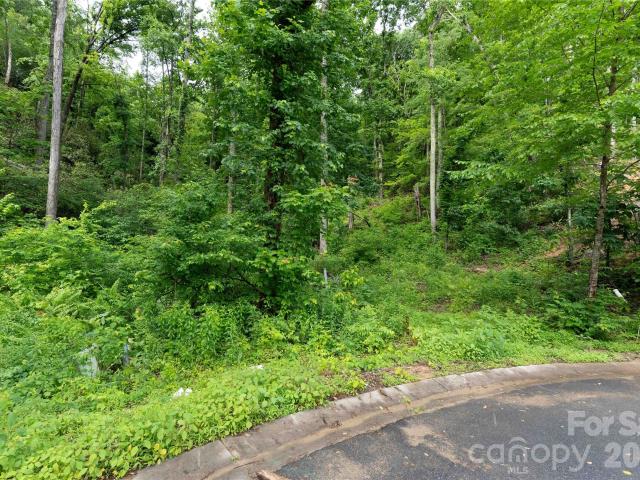 334 Carriage Crest Drive