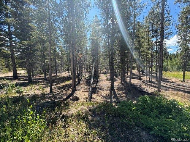 334 Baby Doe Dr Lot 20, Leadville, CO 80461