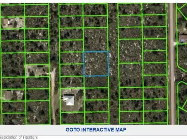 334 FALCON ST, LAKE PLACID, FL 33852 Single Family Residence F.